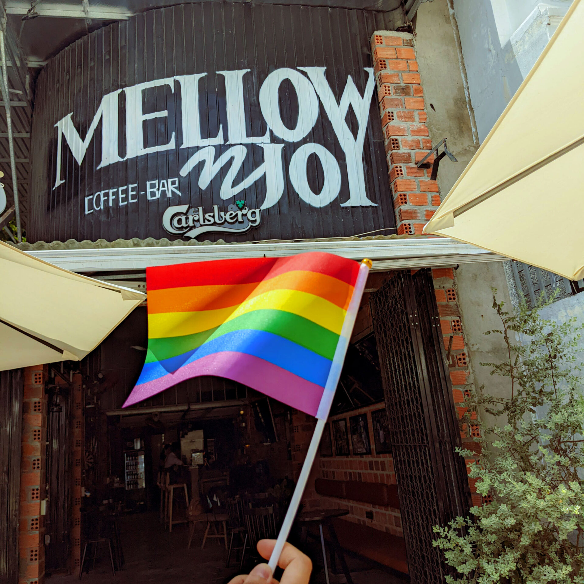 Mellow n Joy Bar - Special bar for the LGBT community in Da Nang - Da Nang Leisure