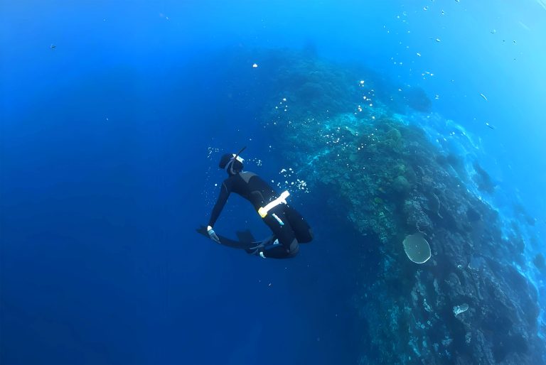 Da Nang Freediving - Napaling Discovery Experience Underwater - Da Nang ...